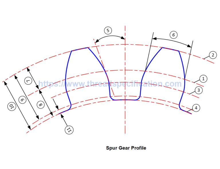 Spur Gear - Thread Specification
